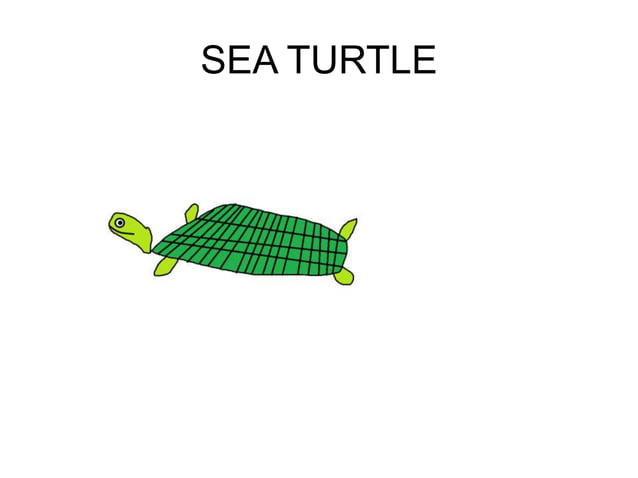 ANIMALS UNDER THE SEA= BOOK VERSION.pptx