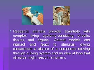 Medical Research On Animals