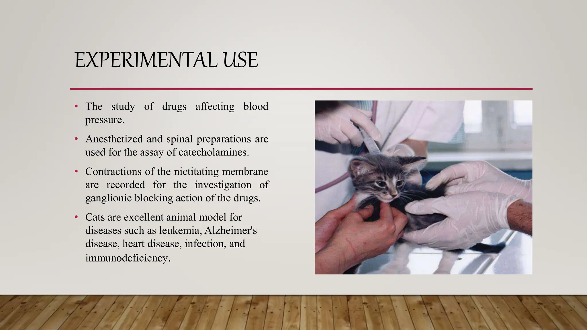 ANIMALS USED IN EXPERIMENTAL PHARMACOLOGY.pptx