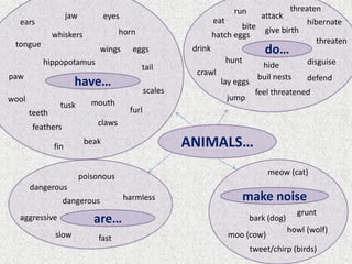 Animals vocabulary | PDF