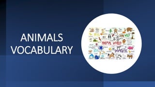 ANIMALS VOCABULARY EJERCICIOS PARA NIVEL BÁSICO | PPTX
