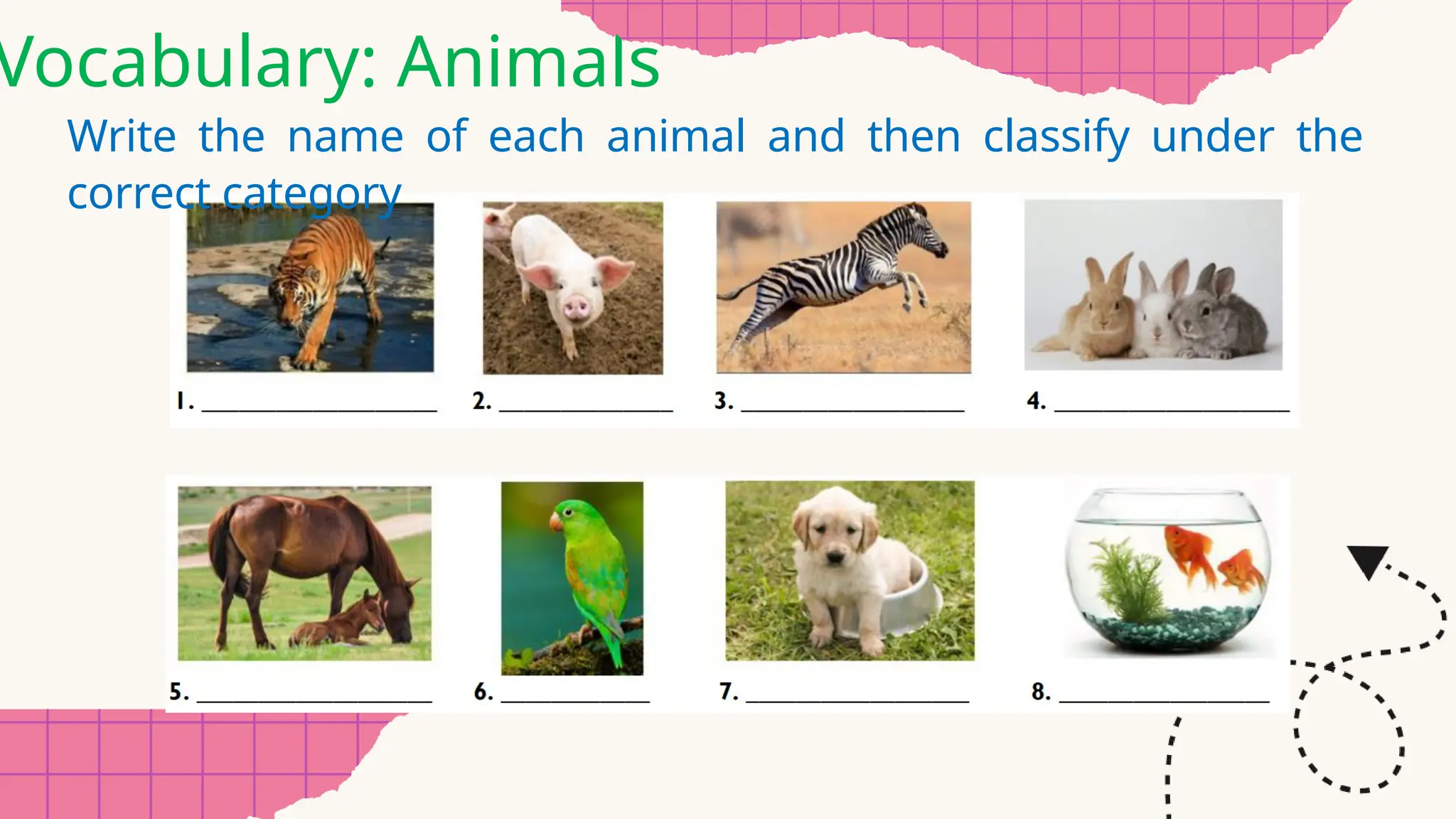 Learning Vocabulary About Animals Elementary English | PPT