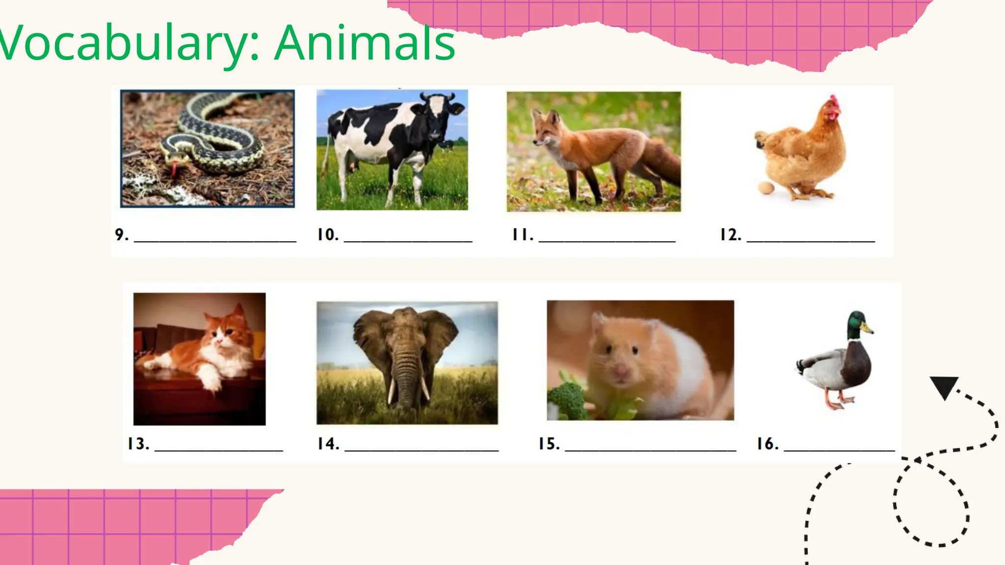 Learning Vocabulary About Animals Elementary English | PPTX