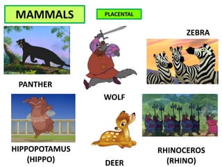 Animals vocabulary disney | PPTX