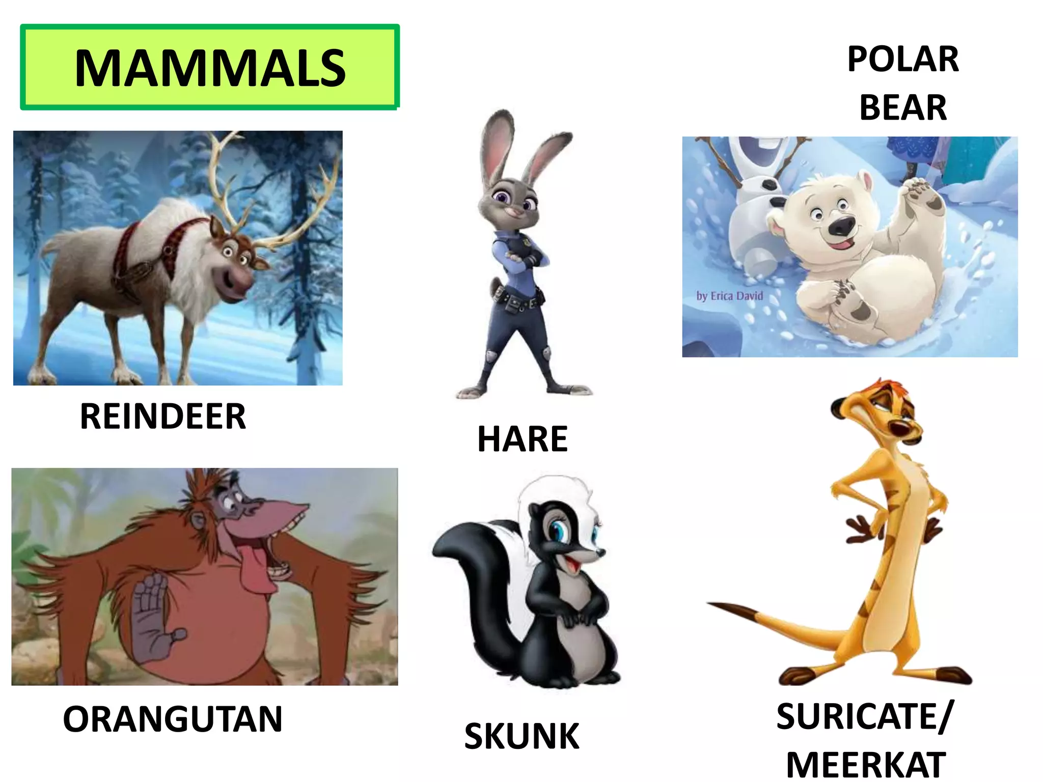Animals vocabulary disney 1 | PPTX