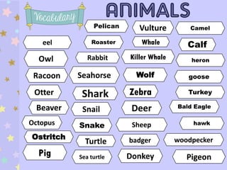 Animals vocabulary part 2 | PDF