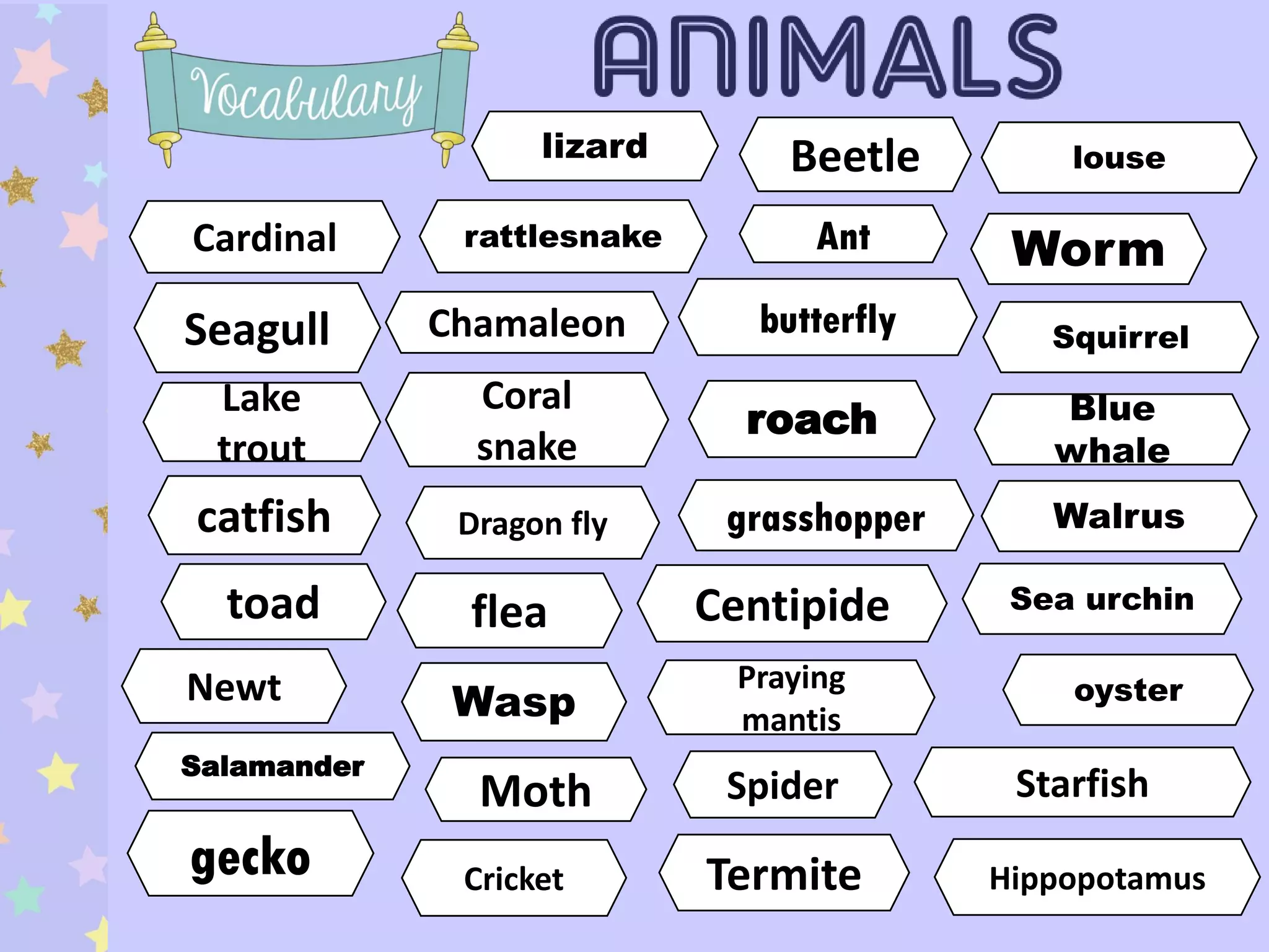 Animals vocabulary part 3 | PPT
