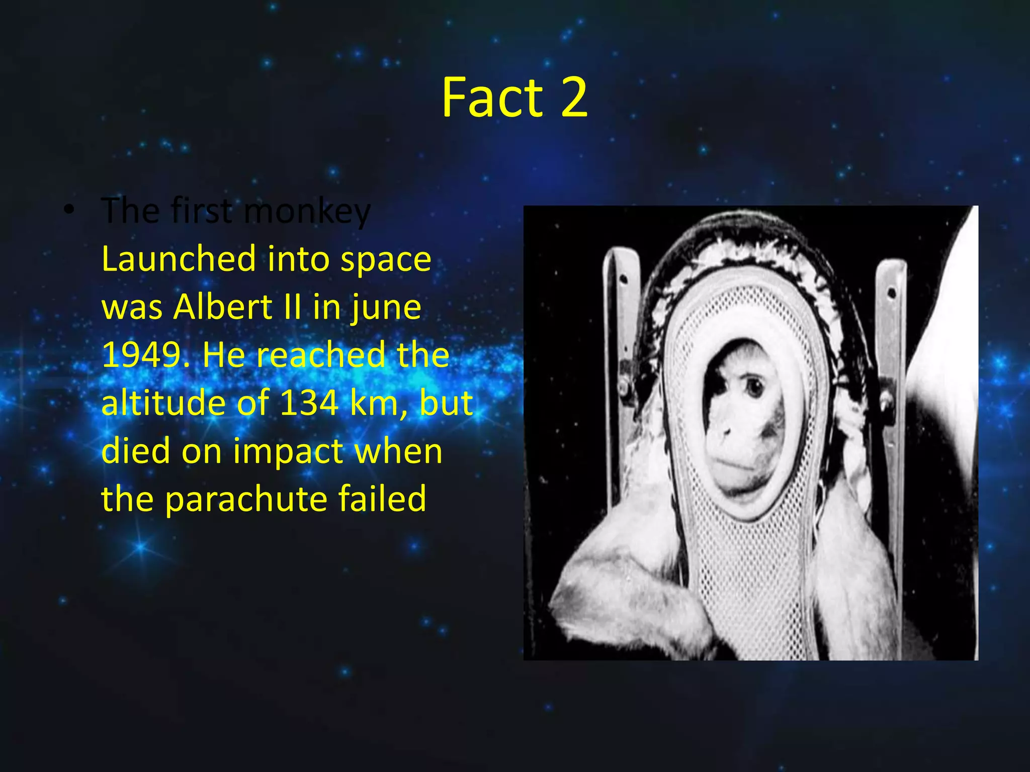 Animals who went into space | PPTX