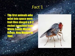 Animals who went into space | PPTX