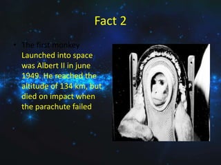 Animals who went into space | PPTX