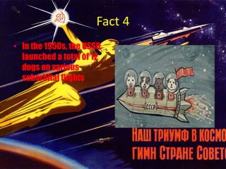 Animals who went into space | PPTX