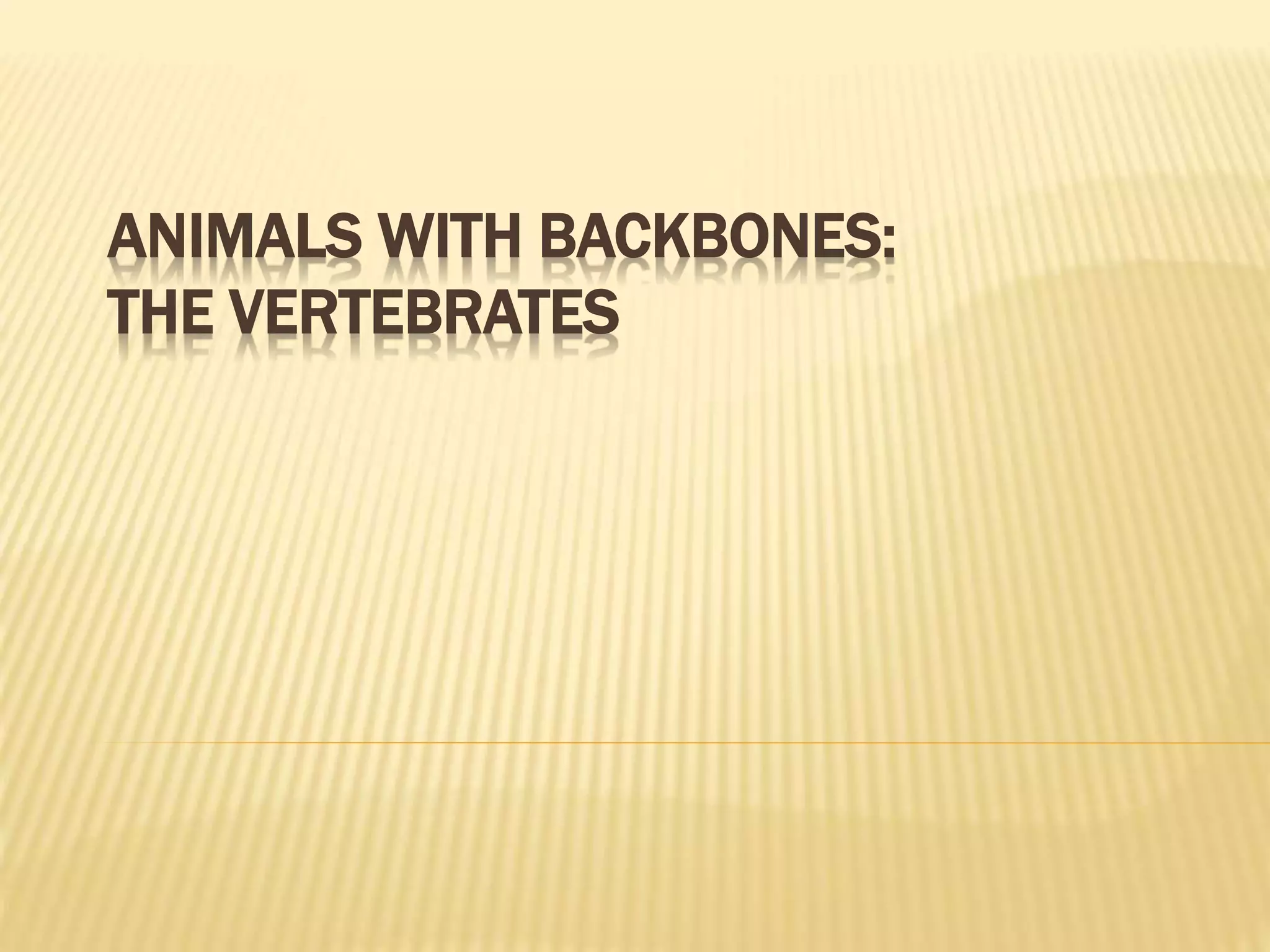 ANIMALS WITH BACKBONES.pptx