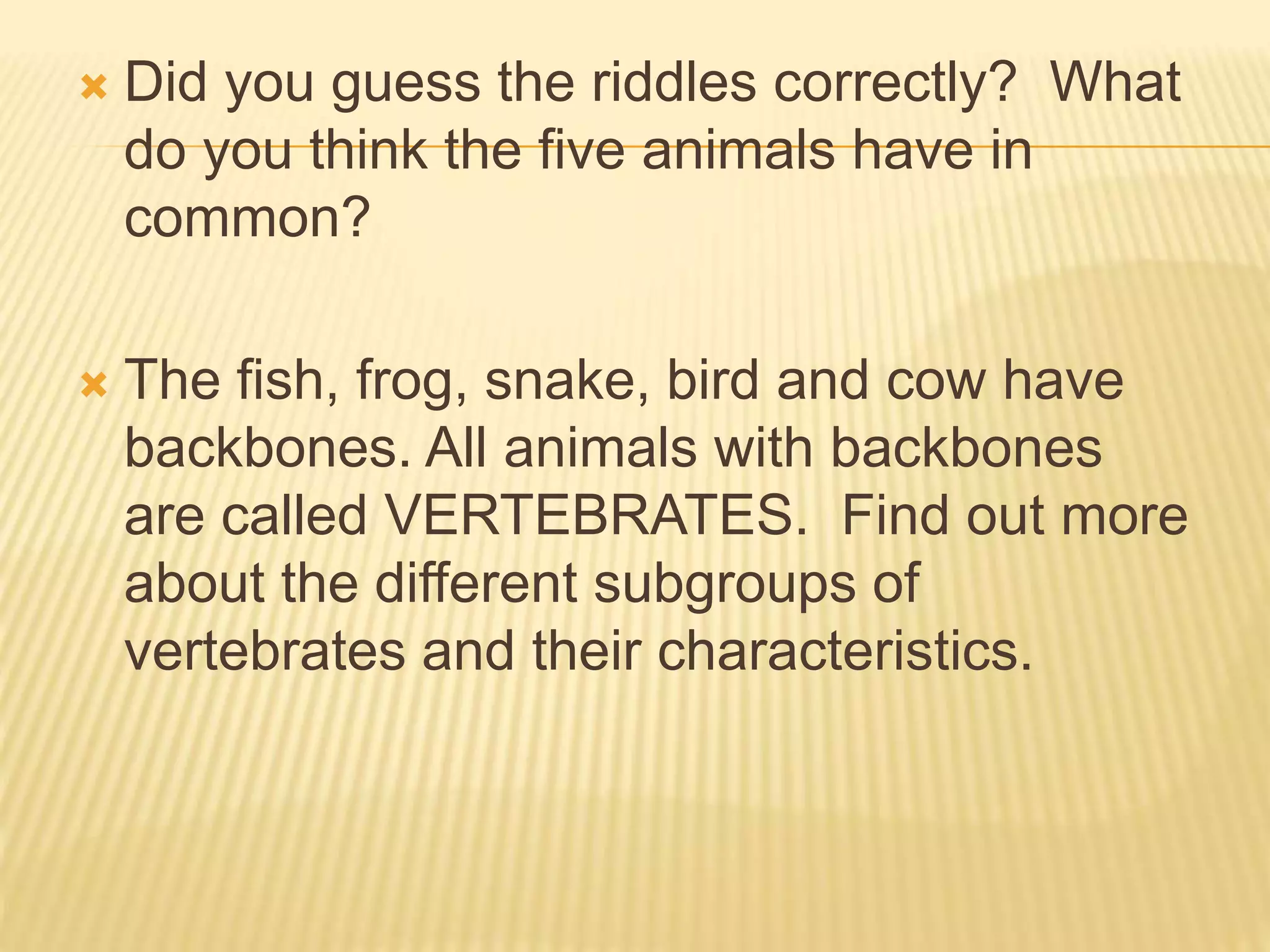 ANIMALS WITH BACKBONES.pptx