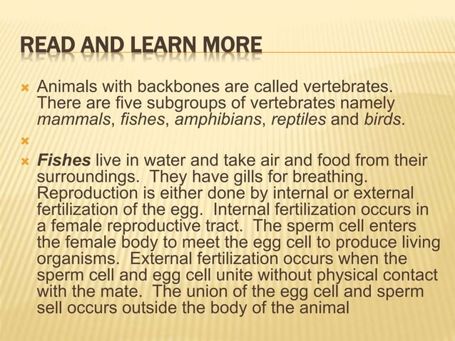 ANIMALS WITH BACKBONES.pptx