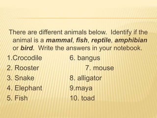 ANIMALS WITH BACKBONES.pptx