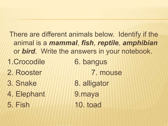 ANIMALS WITH BACKBONES.pptx