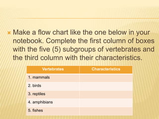 ANIMALS WITH BACKBONES.pptx