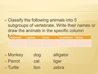 ANIMALS WITH BACKBONES.pptx