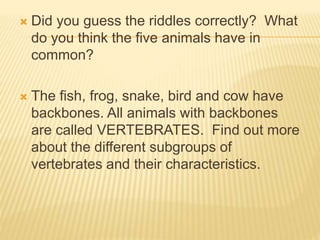 ANIMALS WITH BACKBONES.pptx