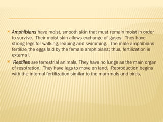 grade six science ANIMALS WITH BACKBONES.pptx