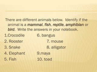 grade six science ANIMALS WITH BACKBONES.pptx