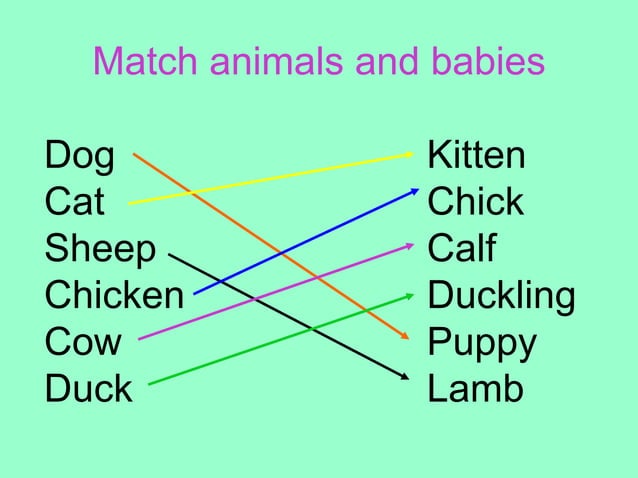 Animals xam ans.keys