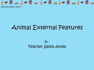Animals year 3 | PPT