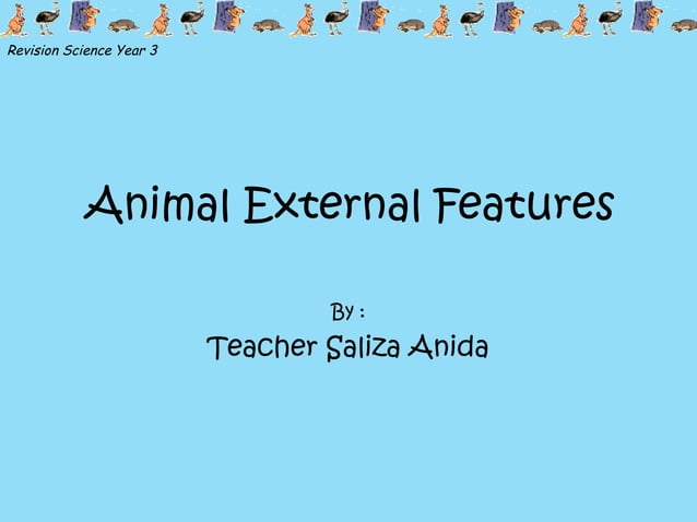 Animals year 3 | PPT