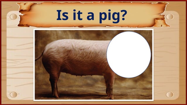 Animals (Yes-No Questions) English conversation | PPTX