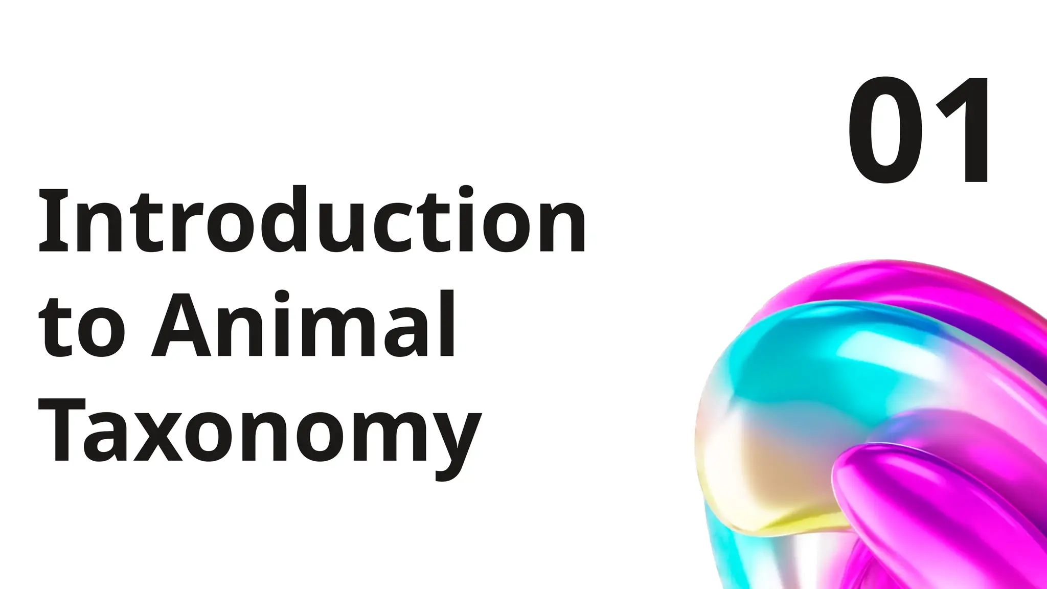 Animal Taxonomy in Zoology msc material .pptx