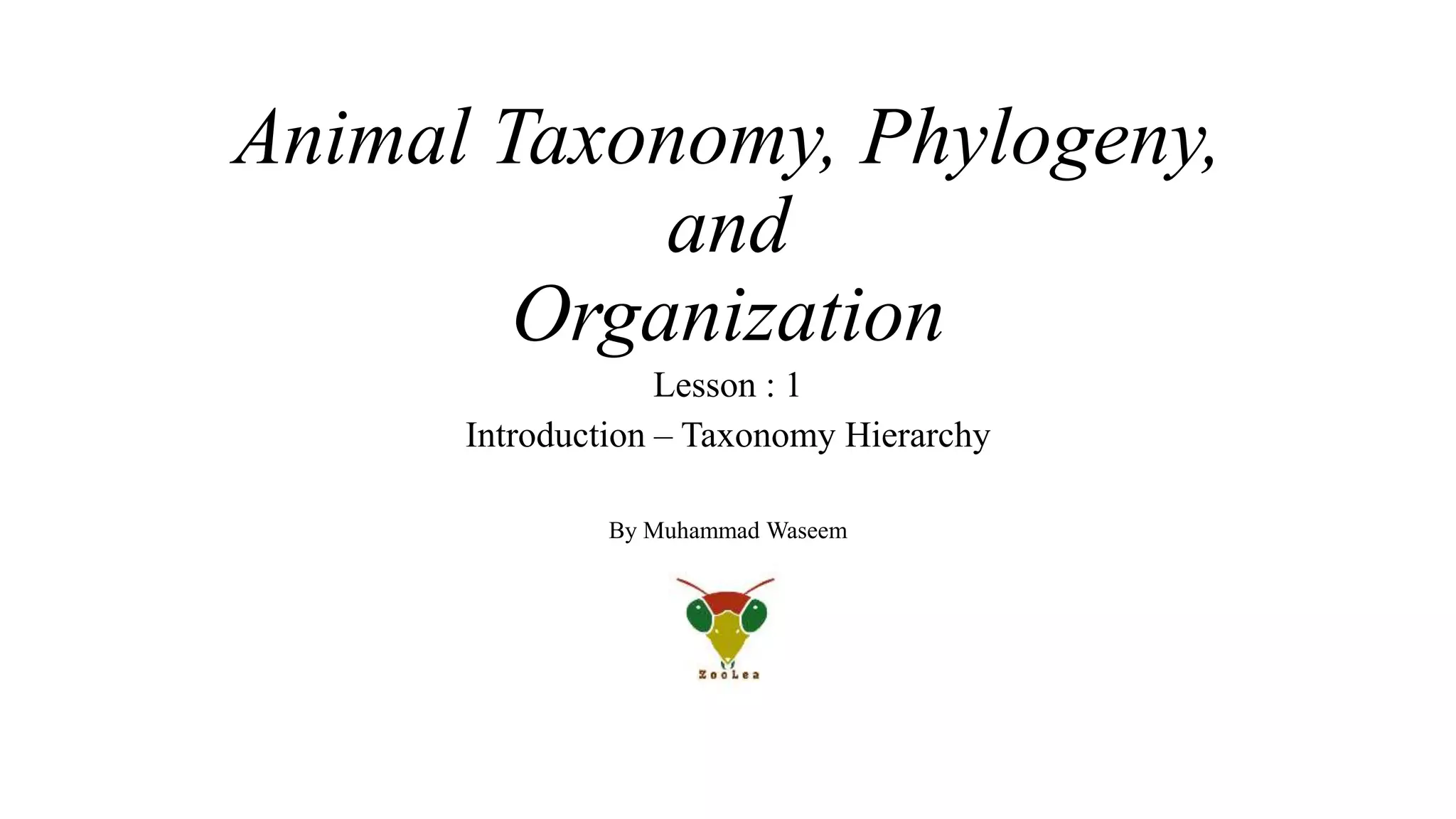 Animal Taxonomy, Phylogeny and Organization | PPTX