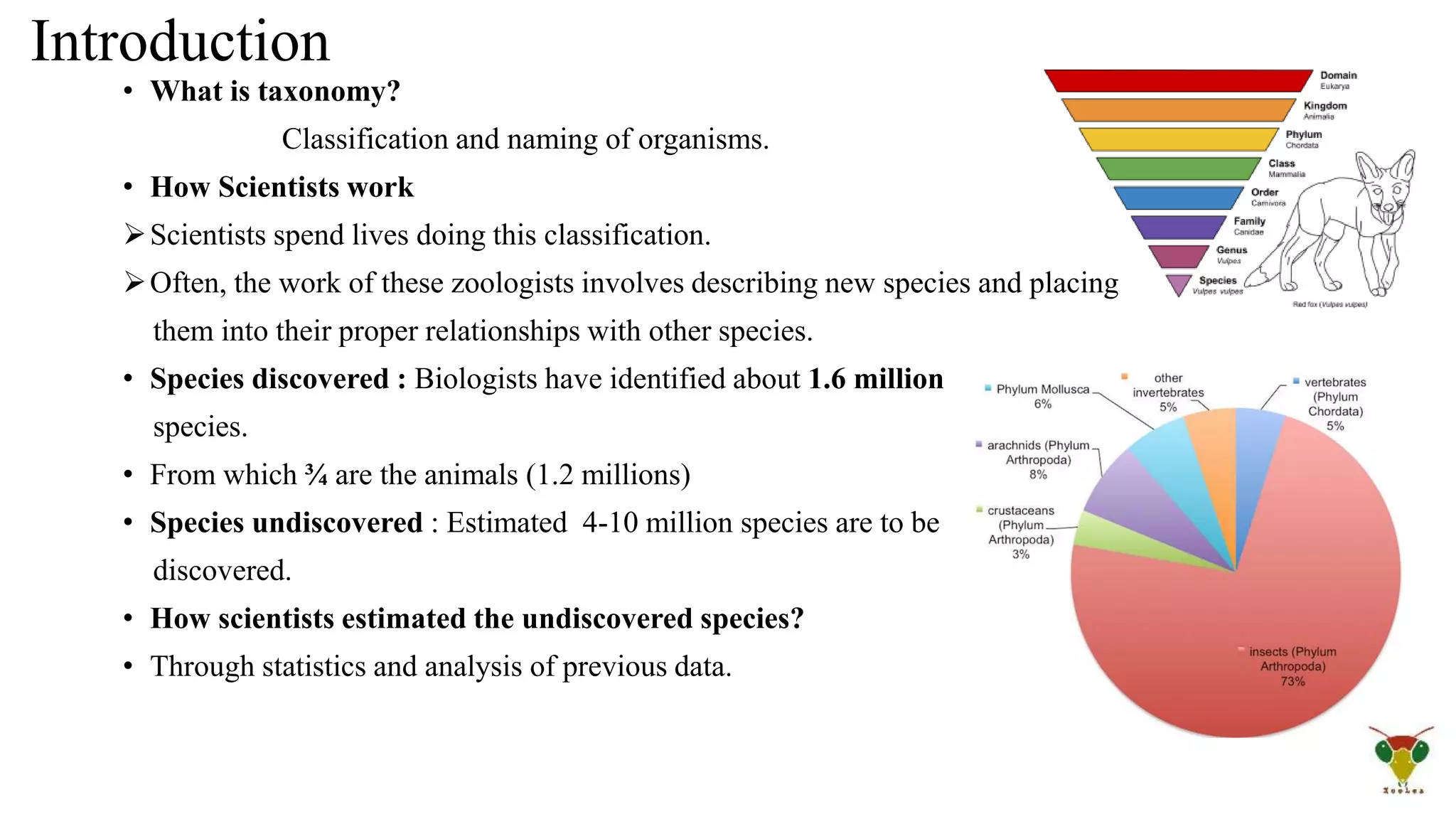 Animal Taxonomy, Phylogeny and Organization | PPTX