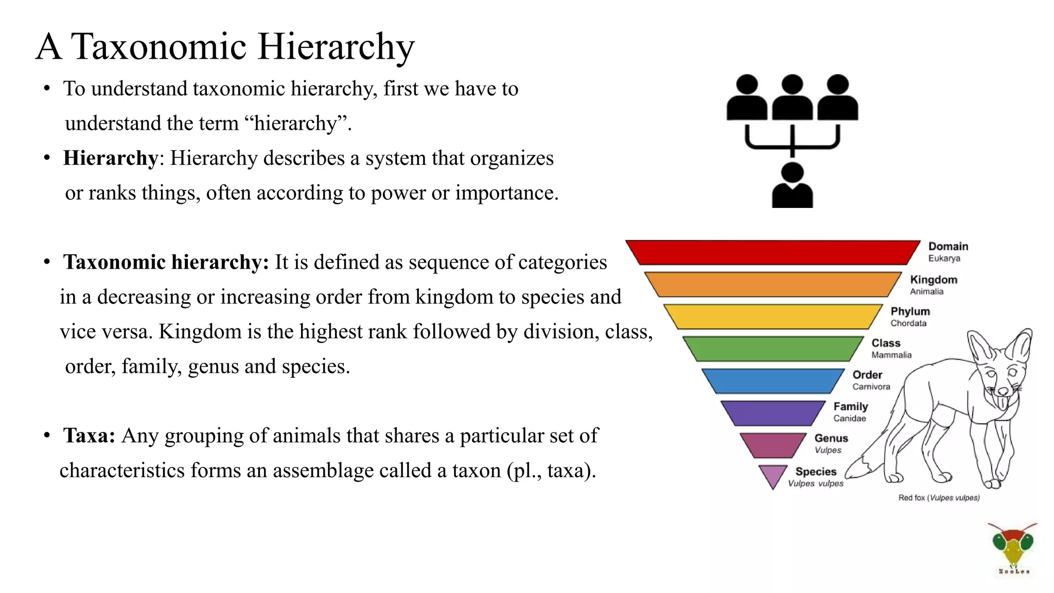 Animal Taxonomy, Phylogeny and Organization | PPTX