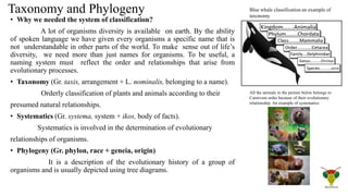 Animal Taxonomy, Phylogeny and Organization | PPTX
