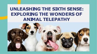 Animal Telepathy to Communicate with Animals.pptx