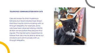 Animal Telepathy to Communicate with Animals.pptx