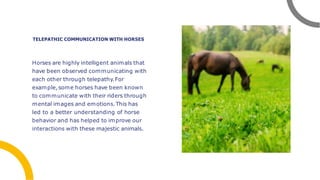 Animal Telepathy to Communicate with Animals.pptx