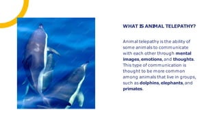 Animal Telepathy to Communicate with Animals.pptx