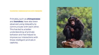 Animal Telepathy to Communicate with Animals.pptx