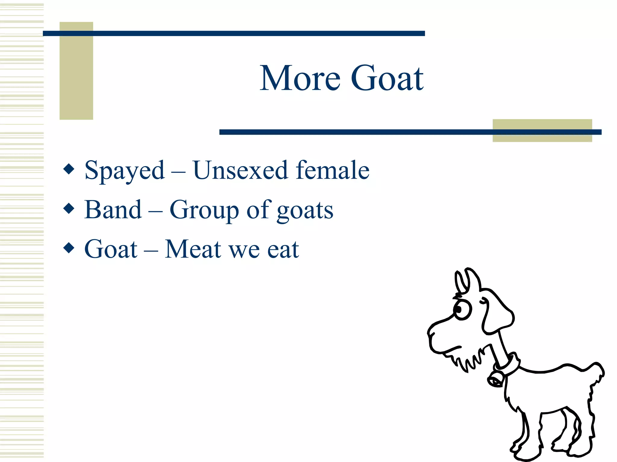 Animal terminology | PPT