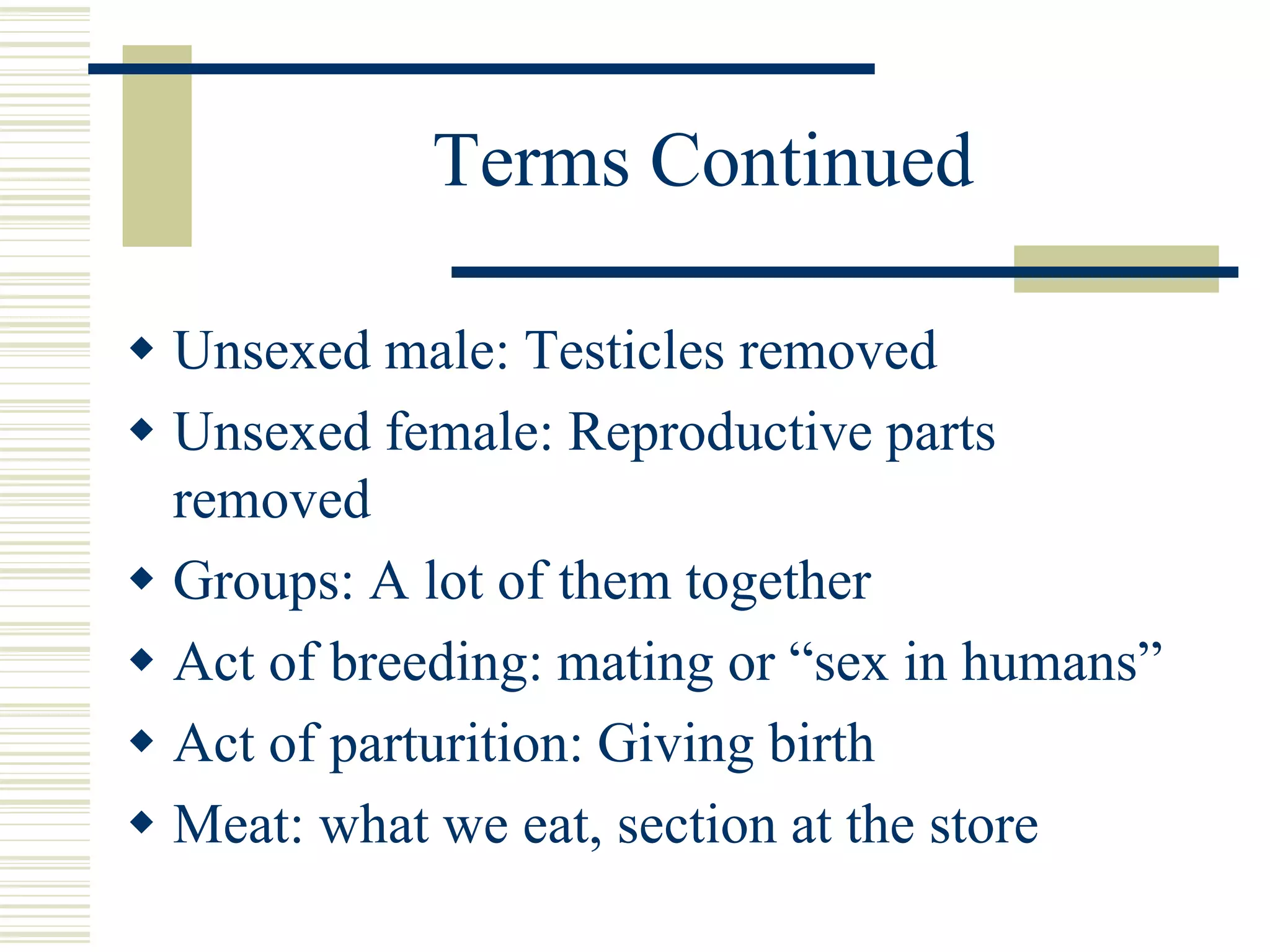 Animal terminology | PPT