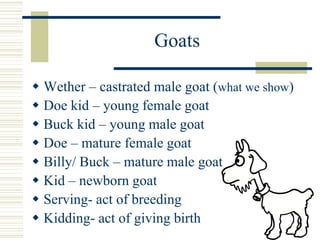 Animal terminology | PPT