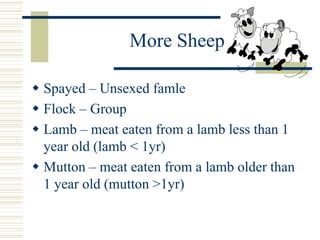 Animal terminology | PPT