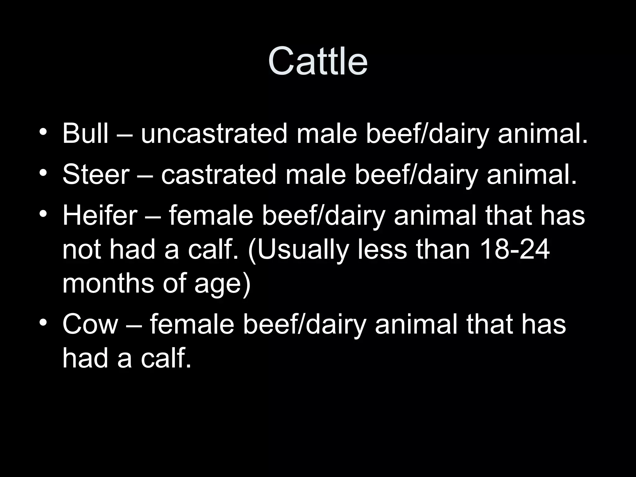 Animal terminology | PPT