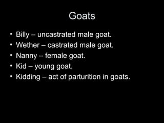 Animal terminology | PPT