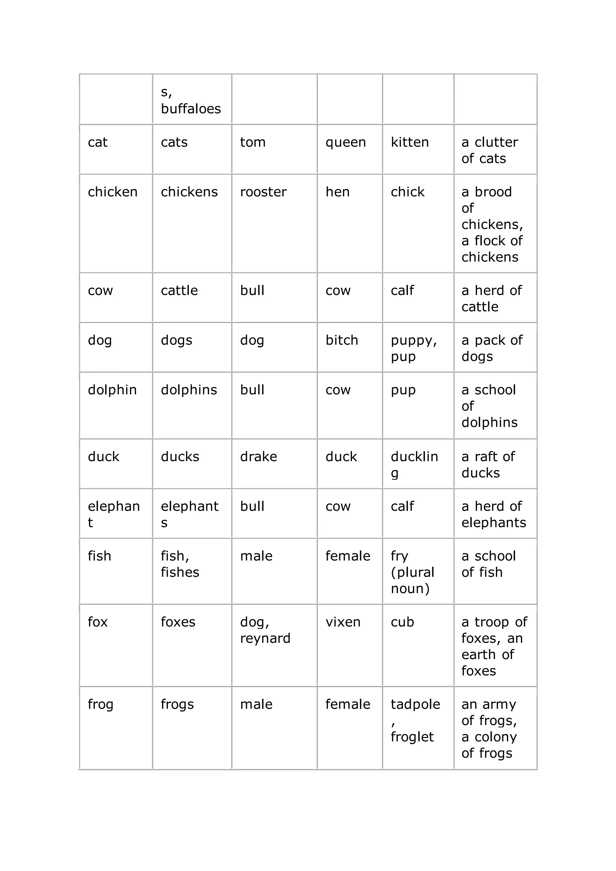 Animal terms | DOCX