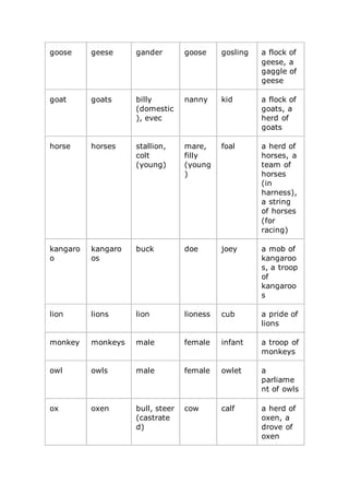 Animal terms | DOCX