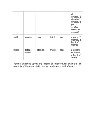 Animal terms | DOCX