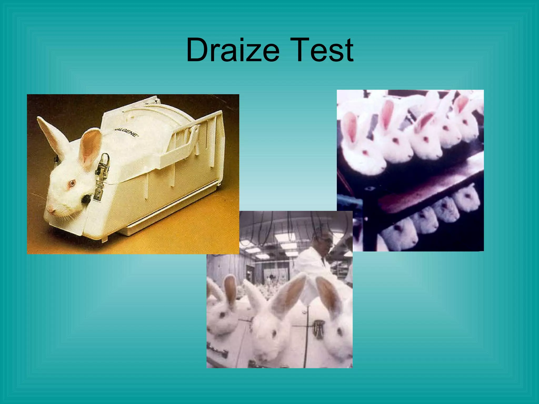 Animal Experimentation | PPT