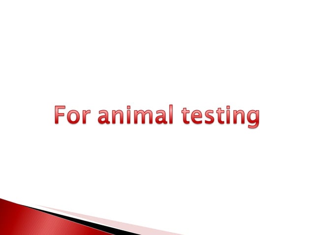 Animal Testing | PPT